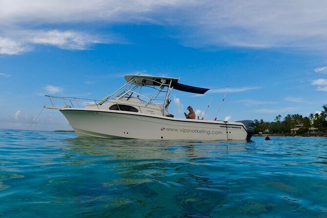Private Snorkeling Adventure in Puerto Rico's Natural Reserve - Who Would Love This Tour?