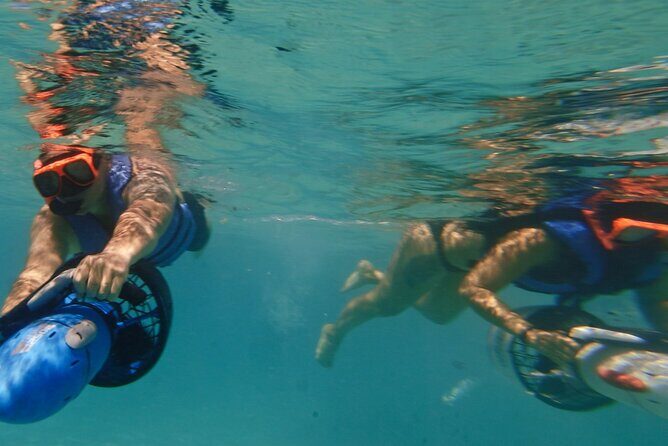 Private Snorkeling and Boat Riding Experience in Aruba - The Value of a Private Tour