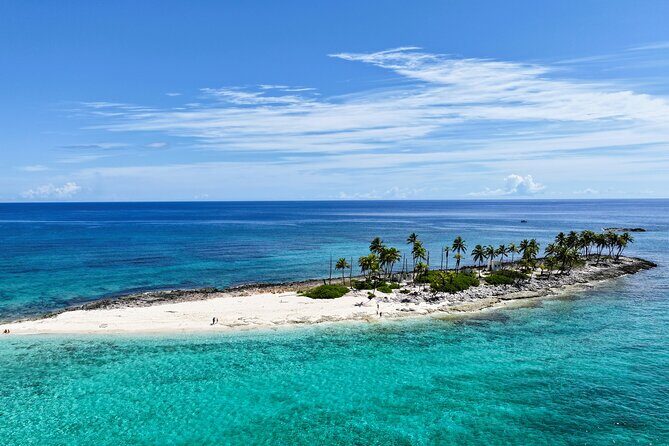 Private Snorkeling or Fishing Charter in Nassau - 38ft Free Time - Authentic Experiences and Guest Feedback