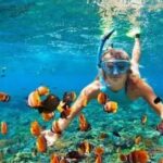 Private: Sosua Bay Snorkeling Tour with Hotel Pickup - Analyzing the Value and Practical Details
