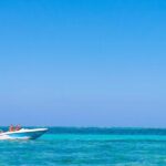 Private Speed Boat Experience with Snorkeling in Punta Cana - Analyzing Value and Experience
