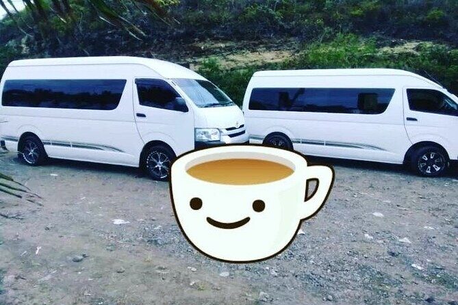 Private St Lucia Airport Transfer to Calabash Cove Resort & Spa - Arriving in St. Lucia: The Experience Begins