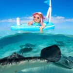 Private Stingray City and Snorkeling Half Day Charter for 6 Guest - The Sum Up