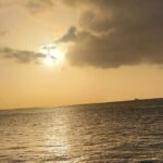 Private Sunset and Snorkel Cruise - What to Expect During the Tour