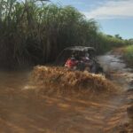 Private: Sunset Horseback Experience  Macao Forest & Beach - The ride through the forest