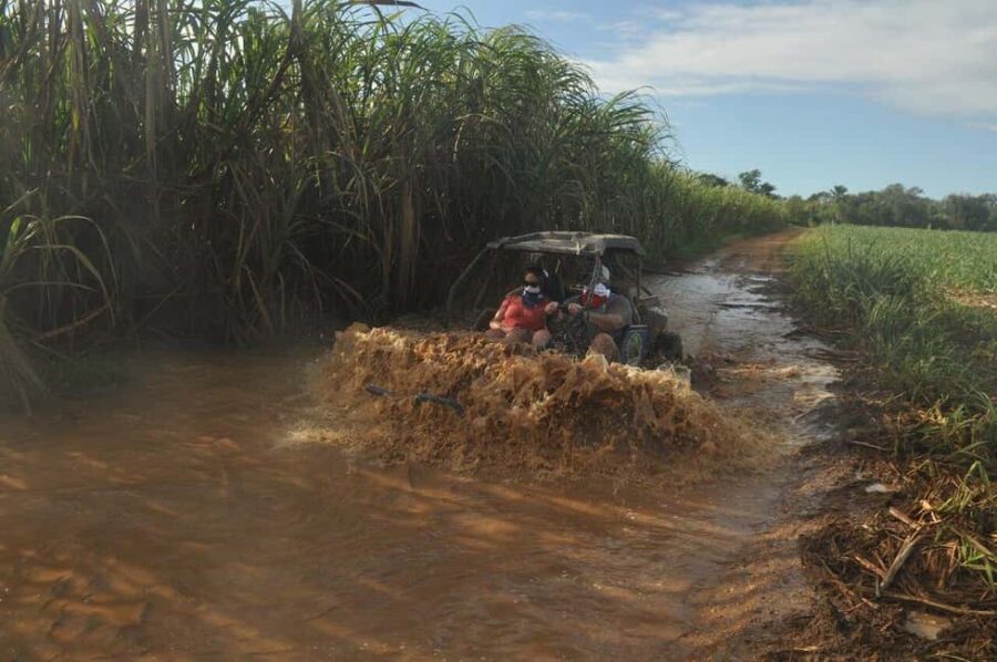Private: Sunset Horseback Experience  Macao Forest & Beach - The ride through the forest