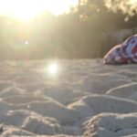 Private Swim Lesson or Triathlon Training on Seven Mile Beach! - The Sum Up