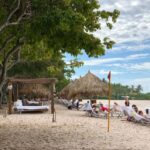 Private: The Great Barrier & Coral Garden Scuba Dive Tour - Post-Dive Relaxation and Beach Time