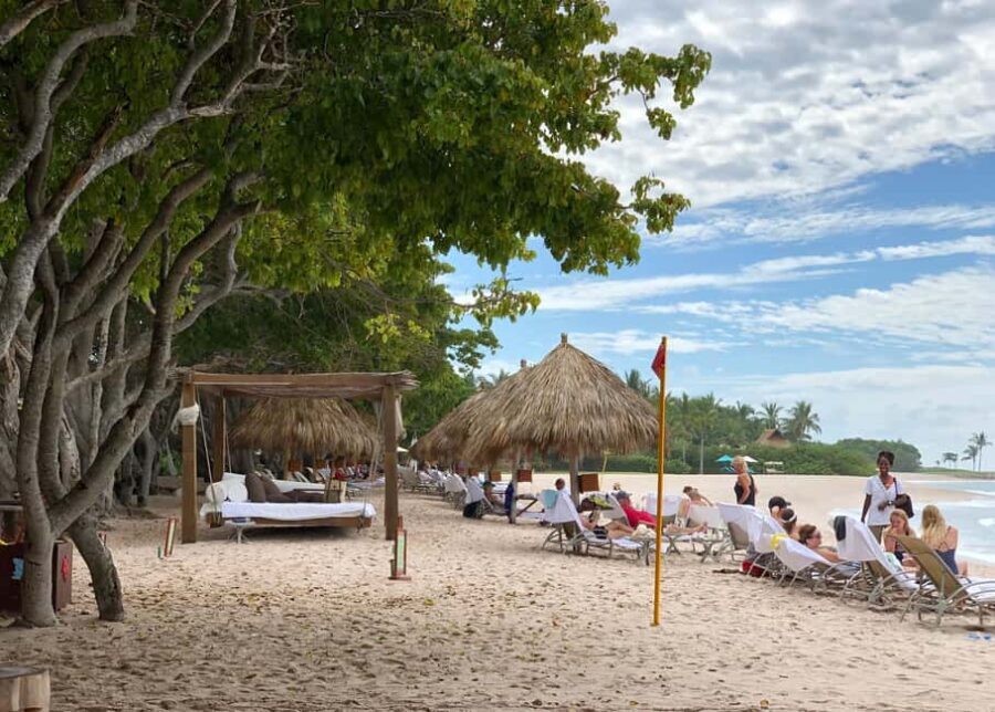 Private: The Great Barrier & Coral Garden Scuba Dive Tour - Post-Dive Relaxation and Beach Time