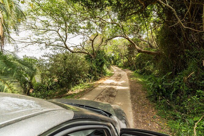Private Tour ATV Adventure in St Lucia - Is the Price Justified?