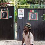Private Tour Bob Marley Nine Mile From Negril - Final Thoughts on Value & Experience