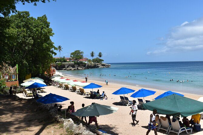 Private Tour Buccoo Reef and Nylon Pool - Authentic, Relaxed Tobago Experience