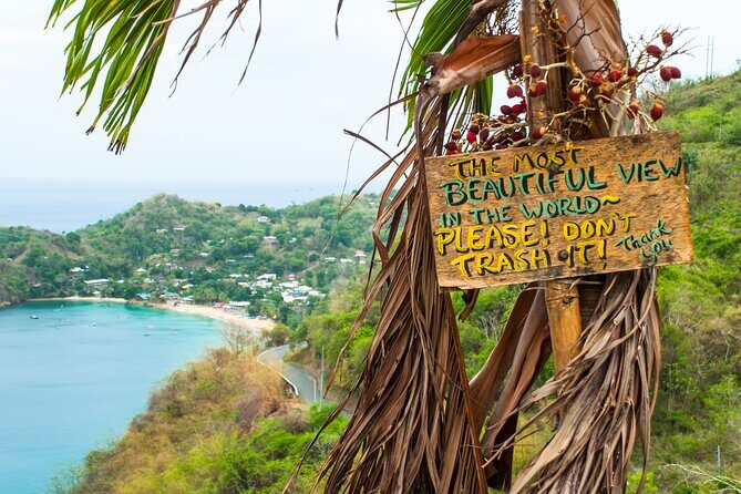 Private Tour Castara Bay from Tobago - What You’ll Love About Castara Bay