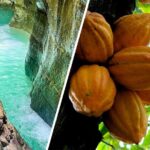 Private Tour Damajagua Waterfalls and Dominican Flavours - Key Points