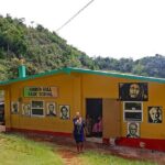 Private Tour Day-Trip Nile mile Bob Marley House With Admission - Analyzing the Value