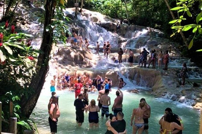 Private Tour - Dunn's River Falls and Ocho Rios Experience from Ocho Rios - Why This Tour Delivers Value