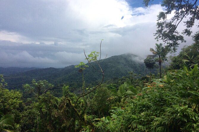 Private Tour El Yunque Rainforest swimming waterfall - Authenticity, Safety, and Comfort