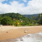 Private Tour Englishman's Bay from Tobago - What to Expect and What It Means for Travelers