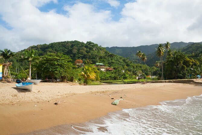 Private Tour Englishman's Bay from Tobago - What to Expect and What It Means for Travelers