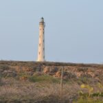 Private Tour: Essential Tour of Aruba - The Sum Up: Is It Worth It?