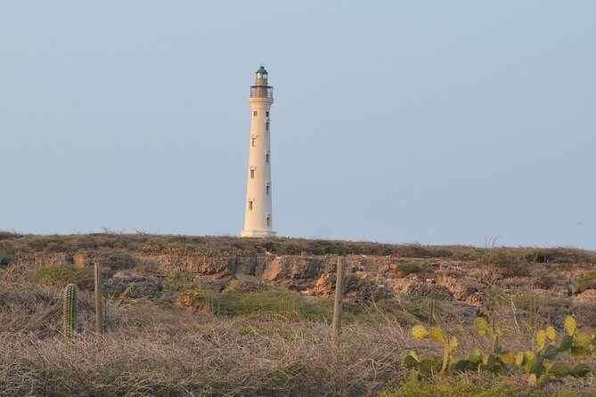 Private Tour: Essential Tour of Aruba - The Sum Up: Is It Worth It?