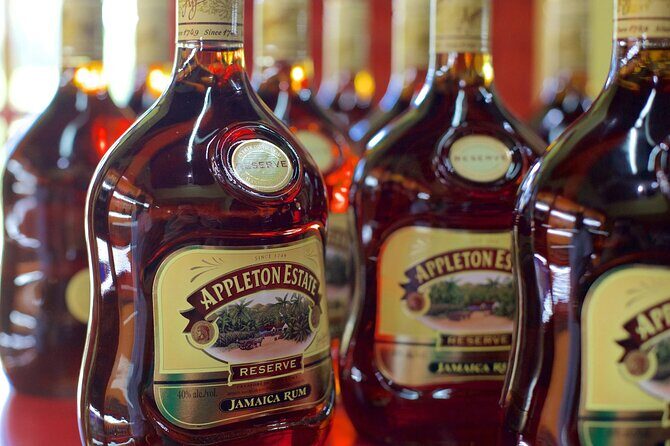 Private Tour from Montego Bay to Appleton Estate and YS Falls - Who is This Tour Best For?