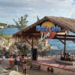 Private Tour From Ocho Rios or Runaway Bay To Negril 7 Miles Beach & Ricks Cafe - The Sum Up: Who Should Consider This Tour?