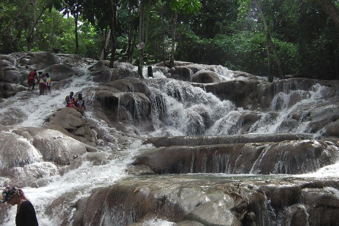 Private Tour From Ocho Rios To Dunn's River Falls - The Experience: From the Vehicle to the Water