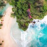 Private tour from Ocho Rios to Port Antonio & Frenchman cove - Authentic Feedback From Travelers