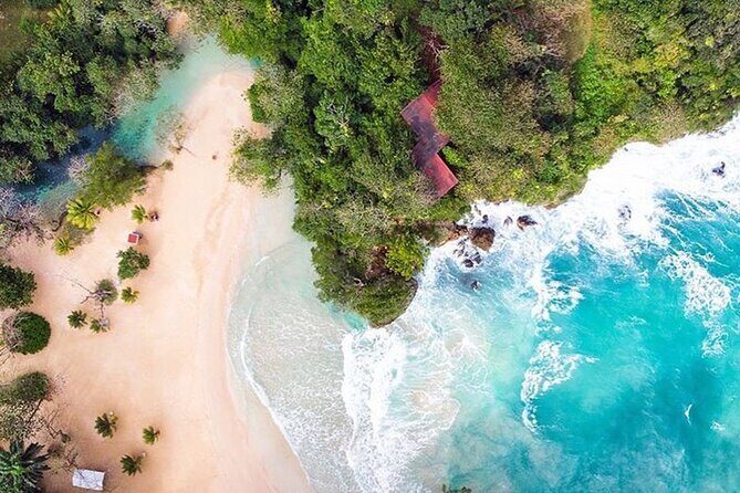 Private tour from Ocho Rios to Port Antonio & Frenchman cove - Authentic Feedback From Travelers