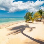 Private Tour Full Island Tobago - Cocoa Estate: Sweet Flavors and Colonial Charm