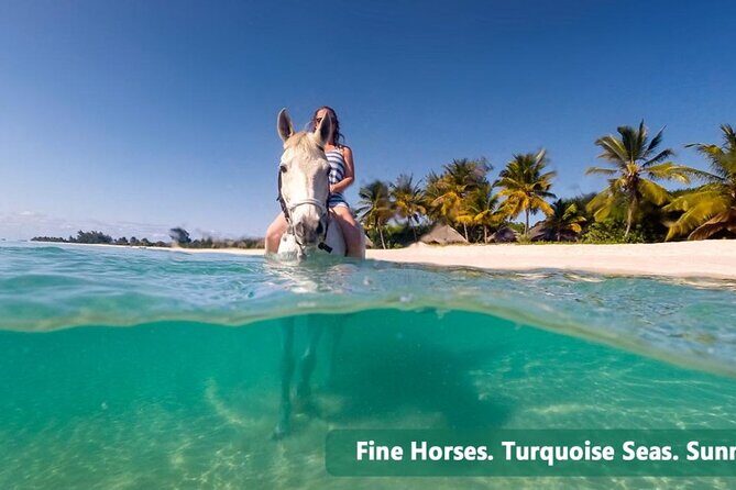Private Tour Horseback Riding from Ocho Rios or Runaway Bay - What’s Included, What’s Not