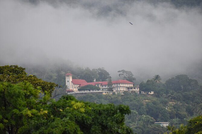 Private Tour North Coast Mountain Tour & Maracas Beach - Who Will Love This Tour?
