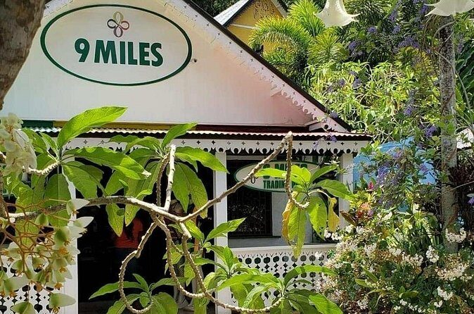 Private Tour of Bob Marley Nine Miles from Montego Bay - The Comfort and Convenience of the Private Tour