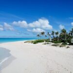 Private Tour Providenciales with Snorkeling and Iguana Island - What Travelers Say
