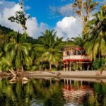 Private Tour Rainforest from Tobago - Who Should Consider This Tour?