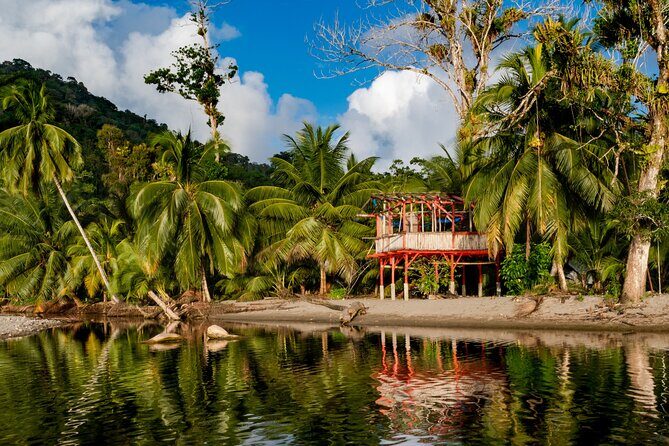 Private Tour Rainforest from Tobago - Who Should Consider This Tour?