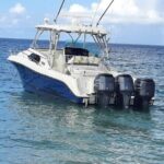 Private Tour to Cayo Icacos and Palomino Island - The Sum Up: Who Will Love This Tour?