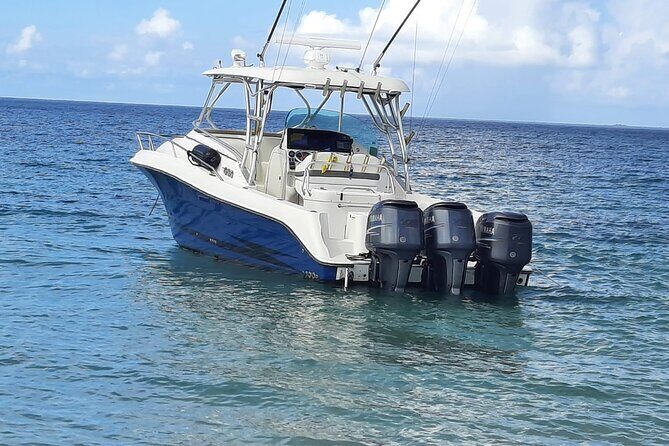 Private Tour to Cayo Icacos and Palomino Island - The Sum Up: Who Will Love This Tour?