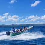 Private Tour to Paradise Island with Snorkel & Manatee Sanctuary - Authentic Reviews and What They Say