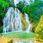 Private Tour to Samaná from Santo Domingo: Salto El Limón and Cayo Levantado - What Travelers Say