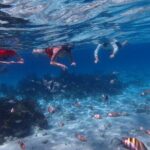 Private Tour to Stingray City & Snorkeling at Coral Gardens - What Our Reviewers Are Saying