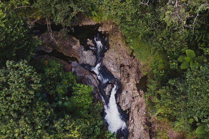Private Tour to Waterfall in Puerto Rico - Carite Forest Reserve: The Hidden Green Jewel