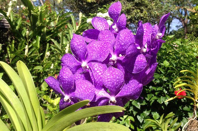 Private Tours - Final Thoughts: Is It Worth It?