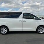 Private Transfer from George Town or 7 Mile to George Town Port - Who is This Transfer Best Suited For?