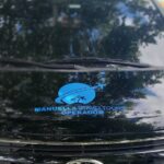 Private Transfer from or to Punta Cana and Bavaro - Deep Dive into the Experience