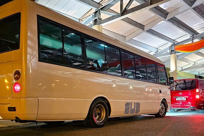 Private Transfer from Piarco Airport to San Fernando - The Real-World Reviews