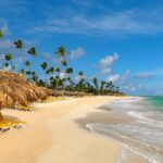 Private Transfer from Punta Cana Airport or Iberostar Punta Cana - Why This Transfer Service Works Well