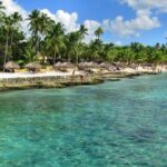 Private Transfer From Punta Cana Airport to Cap Cana, Cabeza de Toro and Bavaro - Is This Service Right for You?