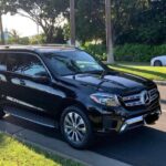 Private Transfer from Terrance Airport (EIS) to Tortola Port - Final Thoughts: Who Should Consider This Service?